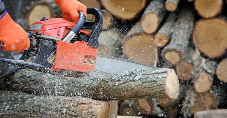 10 Best Beginner Chainsaws in 2023 - Clever Handymen
